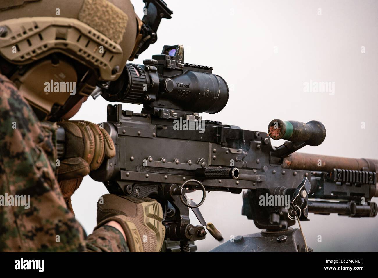 A U.S Marine with Battalion Landing Team 2/5, 31st Marine Expeditionary ...
