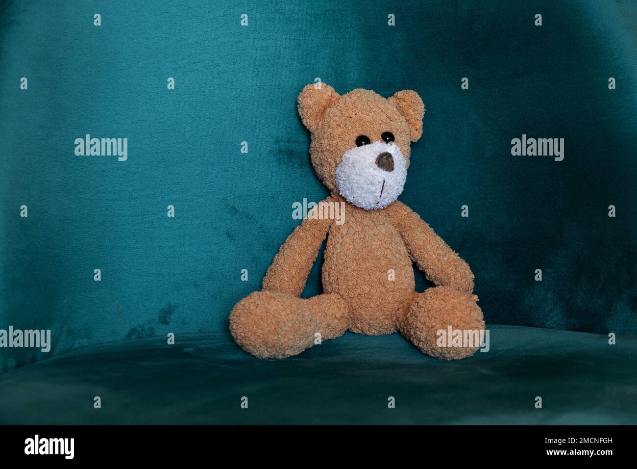 brown kids soft teddy bear sitting on blue sofa, kids toy in the ...