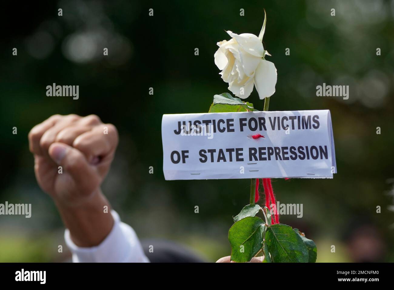 An activist clenches his fist beside a flower bearing a slogan during a ...