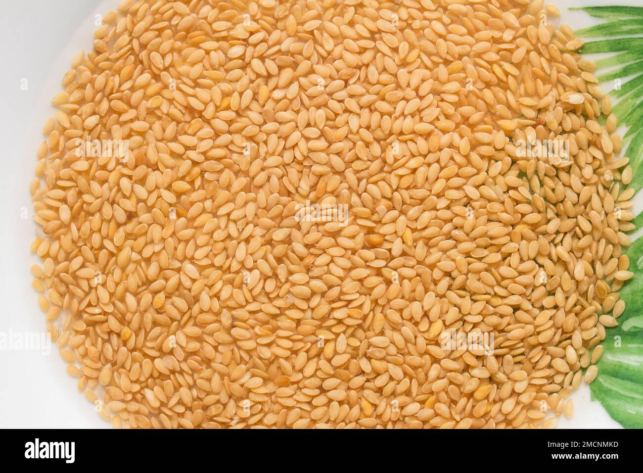 The top view of a close-up of Soaked flax seeds forms a circle on a ceramic plate with green ...