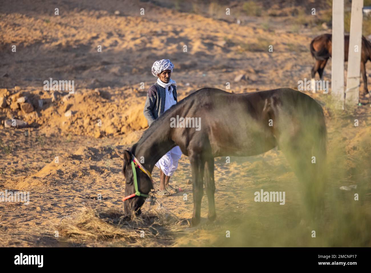 Pushkar, India - Oct 2022: Pushkar Fair, Portrait of an horse trader in ...