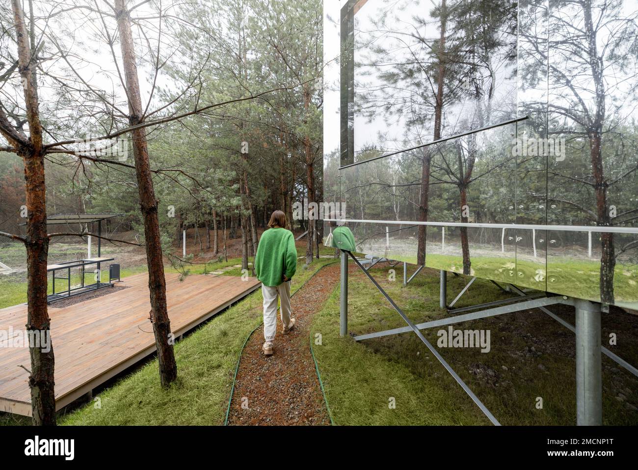 Woman near an invisible house in pine forest Stock Photo - Alamy
