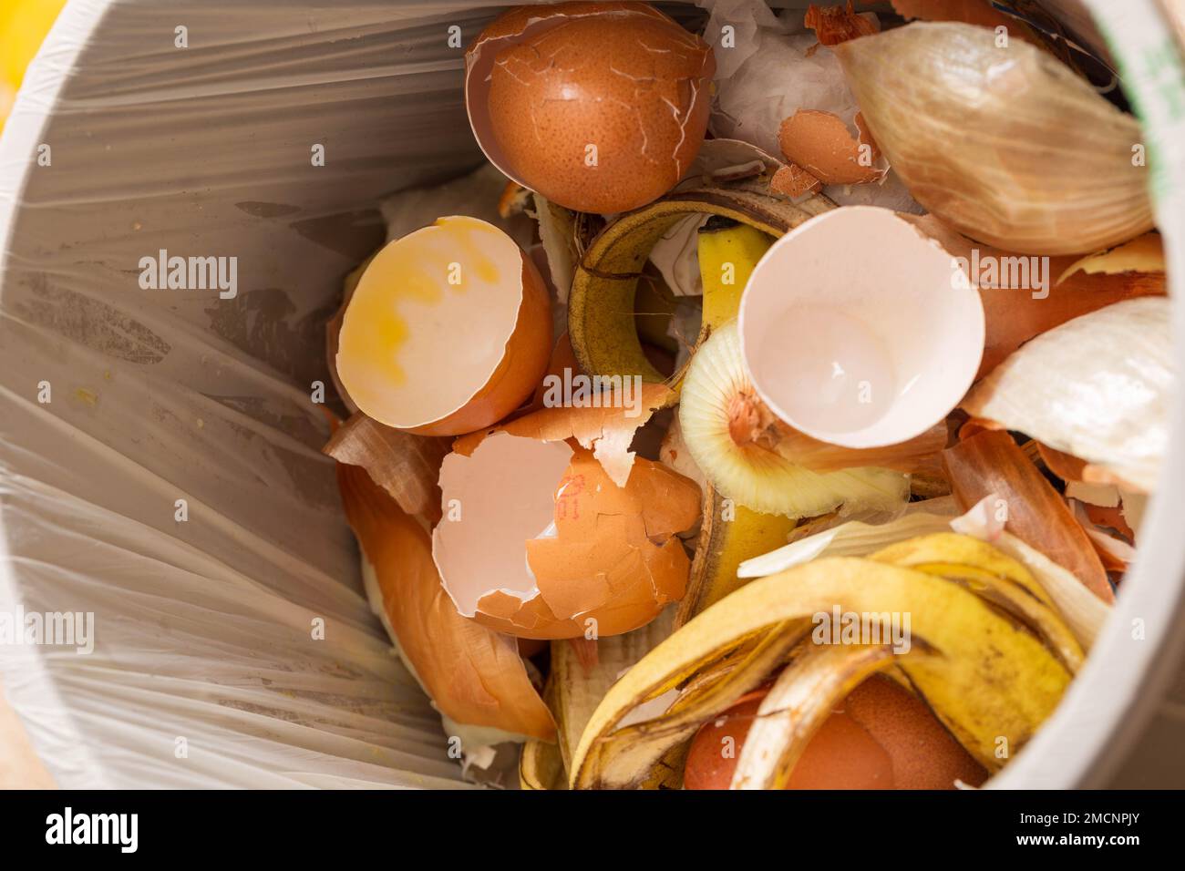 Effective Waste Sorting: Organic Waste in Dustbin for a Sustainable ...