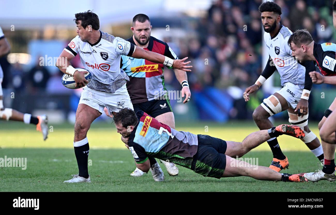 Venter sharks hi-res stock photography and images - Alamy