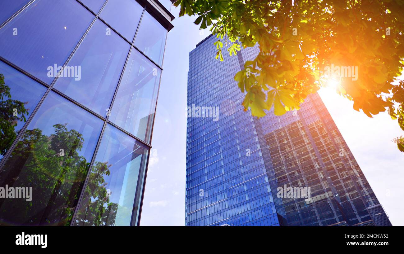 Fresh green trees and office building, business concept. Eco building ...