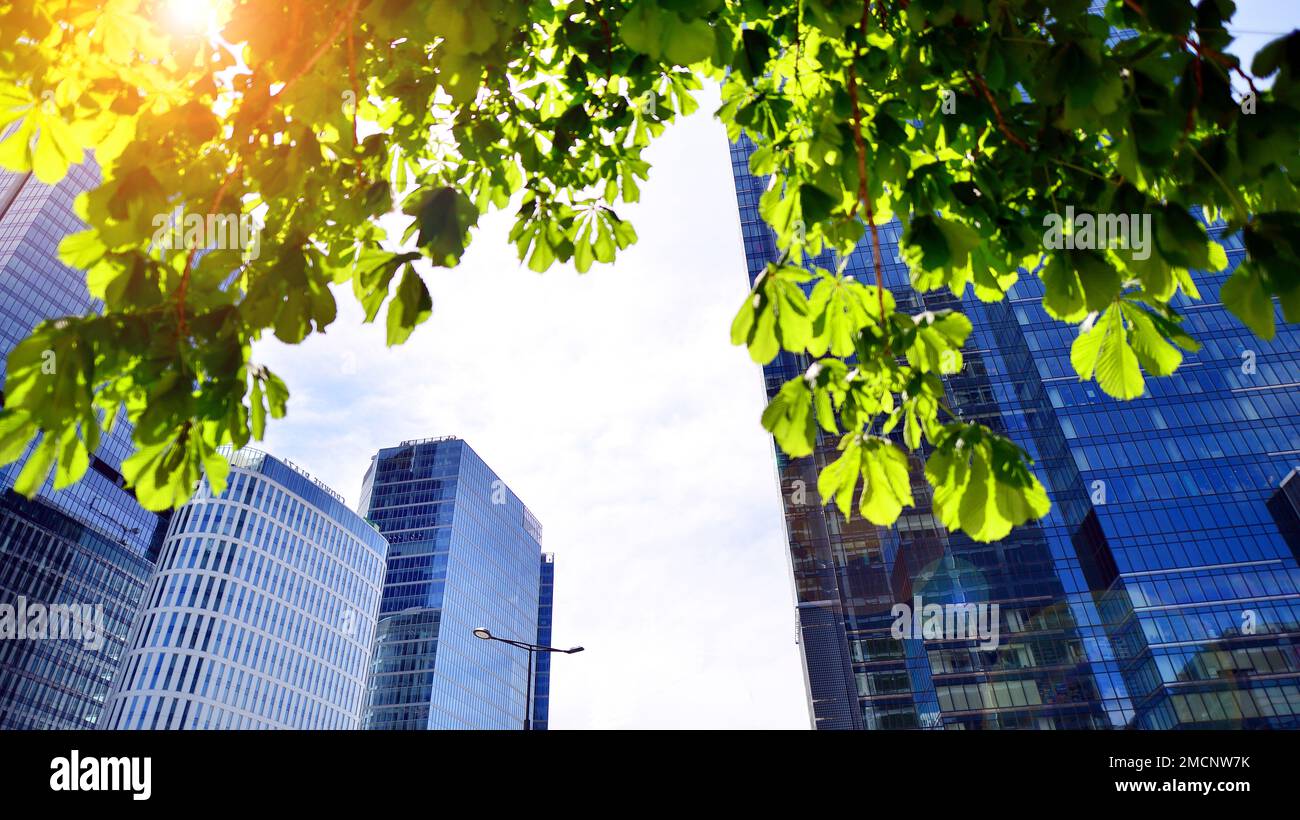 Fresh green trees and office building, business concept. Eco building ...