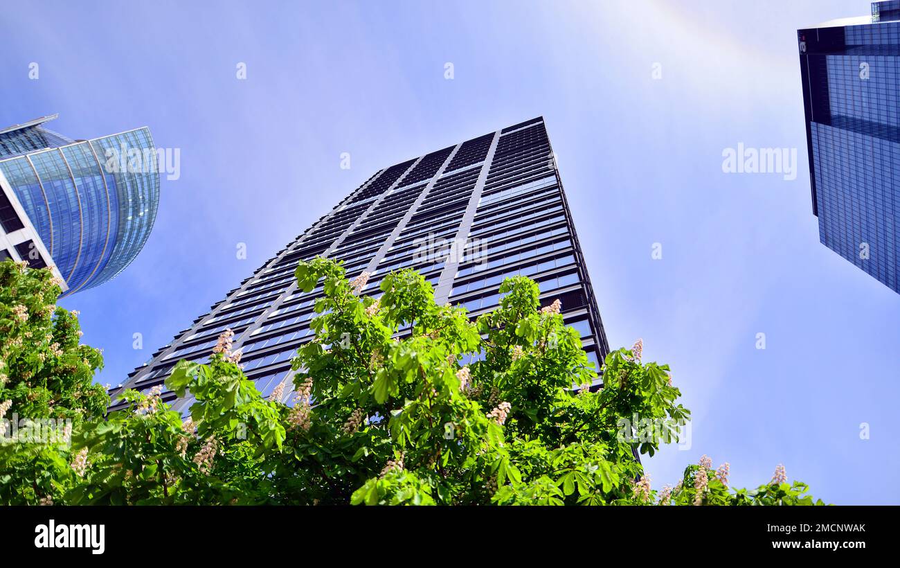 Fresh green trees and office building, business concept. Eco building ...