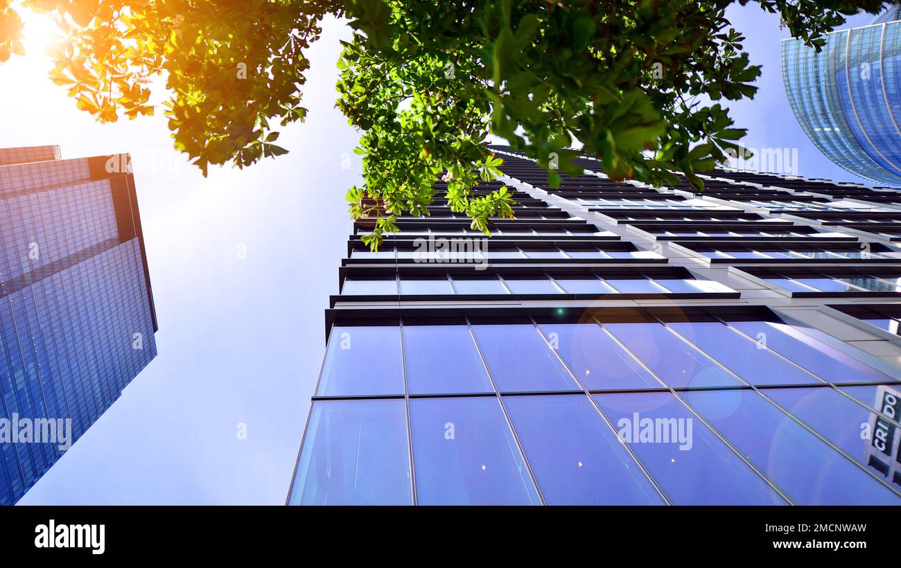 Fresh green trees and office building, business concept. Eco building ...
