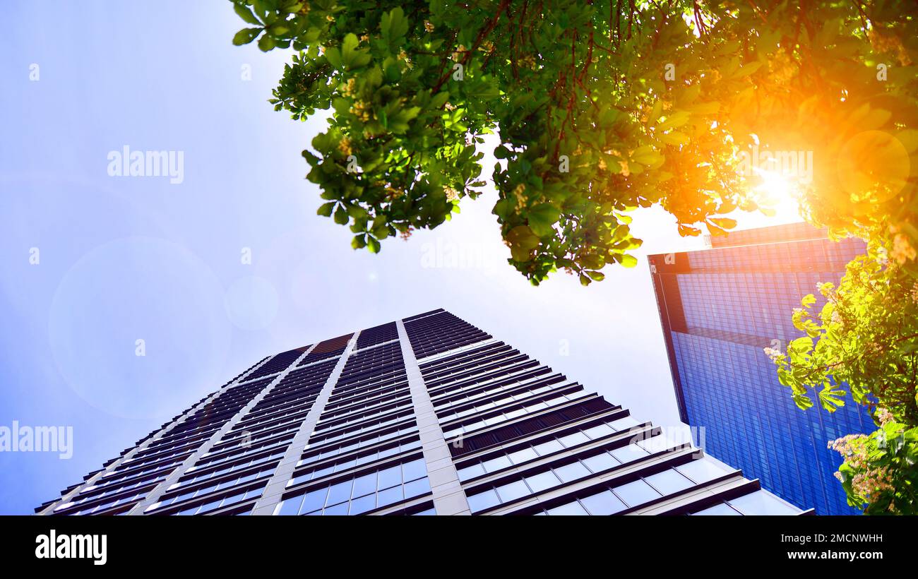 Fresh green trees and office building, business concept. Eco building ...