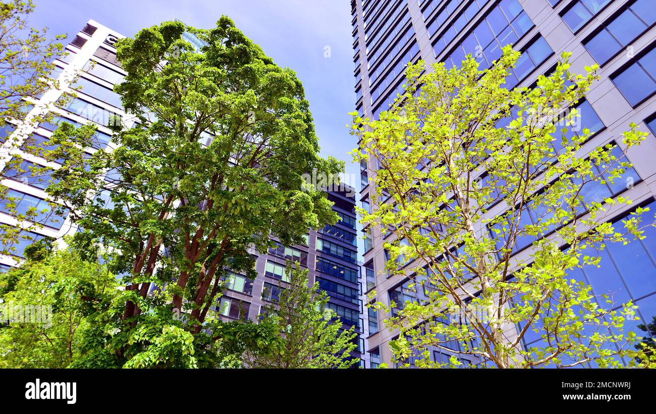 Fresh green trees and office building, business concept. Eco building ...