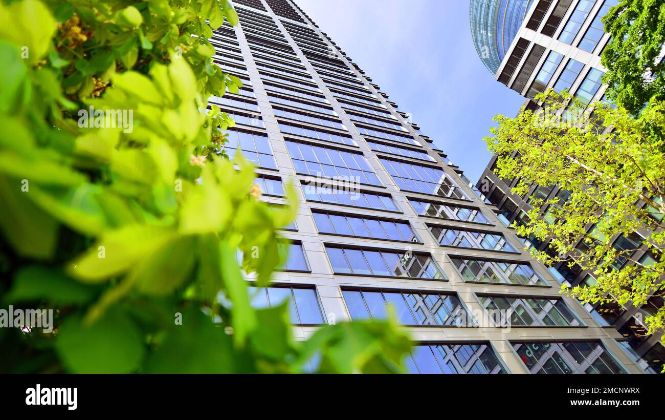 Fresh green trees and office building, business concept. Eco building ...