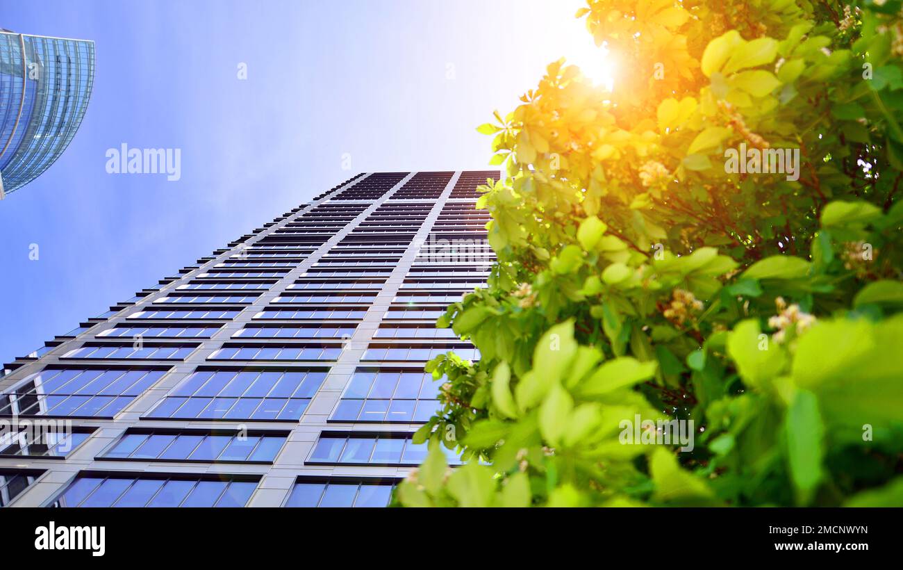 Fresh green trees and office building, business concept. Eco building ...