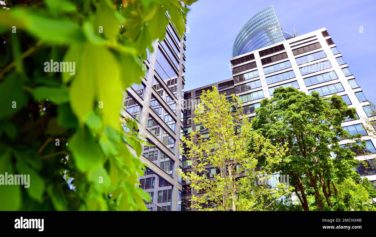 Fresh green trees and office building, business concept. Eco building ...