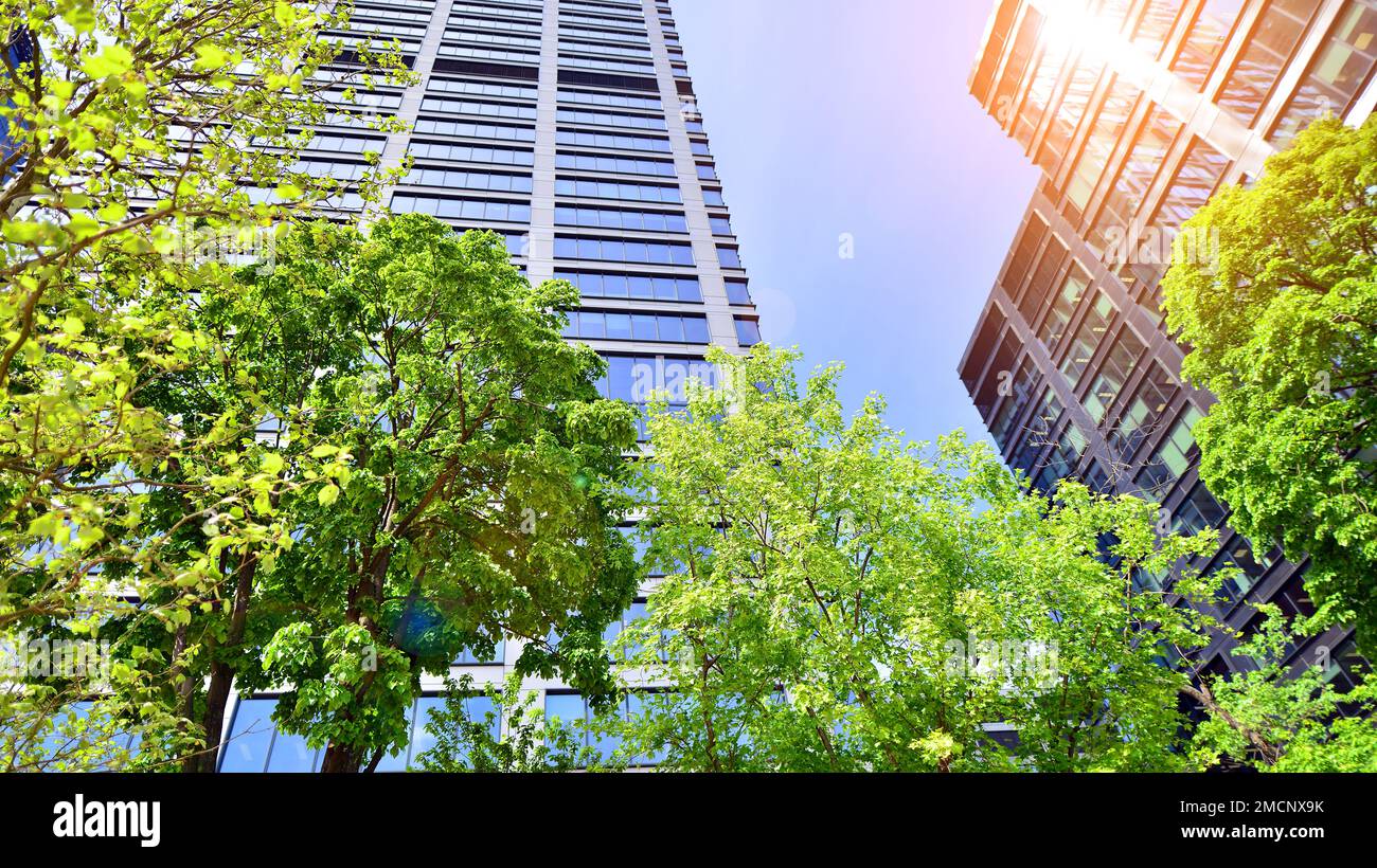 Fresh green trees and office building, business concept. Eco building ...