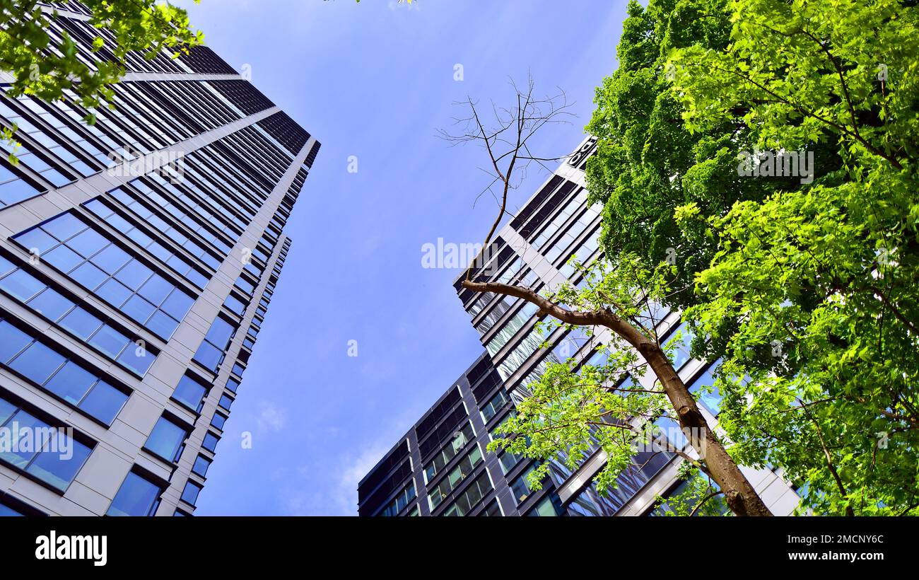Fresh green trees and office building, business concept. Eco building ...