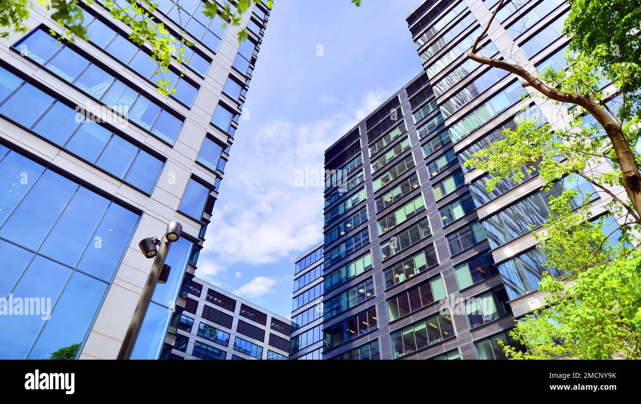 Fresh green trees and office building, business concept. Eco building ...