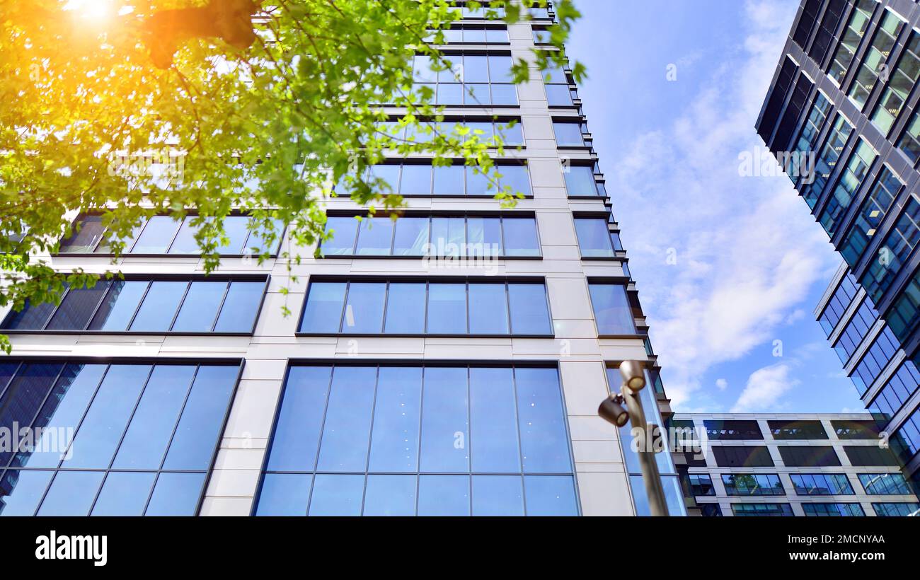 Fresh green trees and office building, business concept. Eco building ...