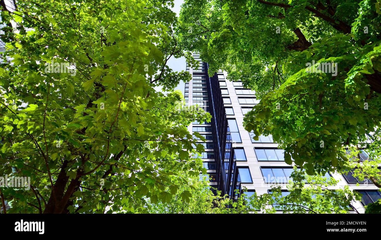 Fresh green trees and office building, business concept. Eco building ...