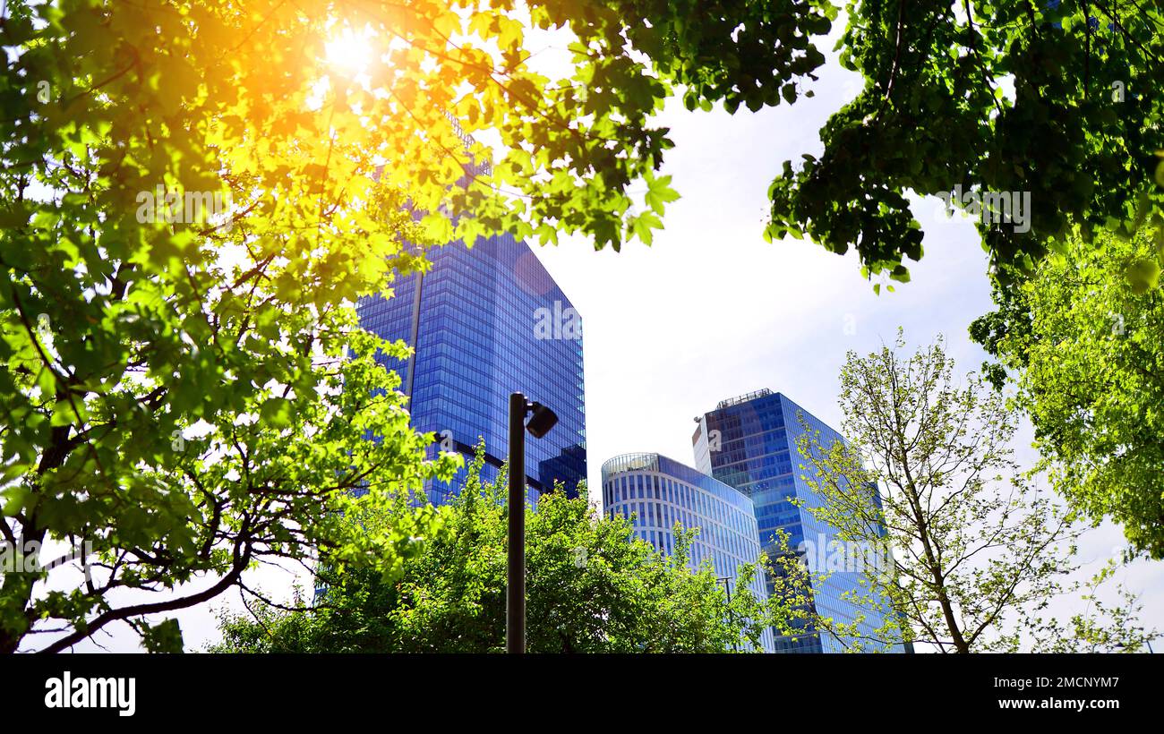 Fresh green trees and office building, business concept. Eco building ...