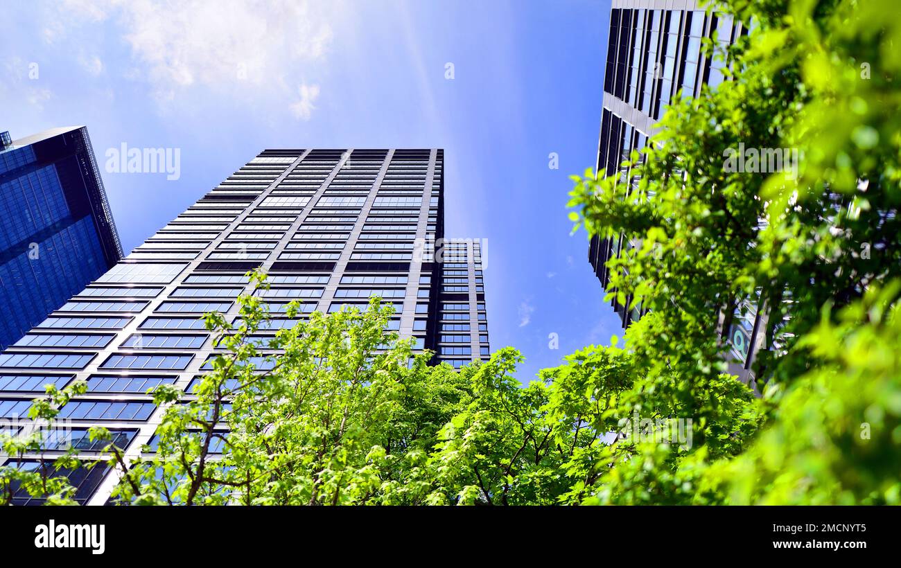 Fresh green trees and office building, business concept. Eco building ...