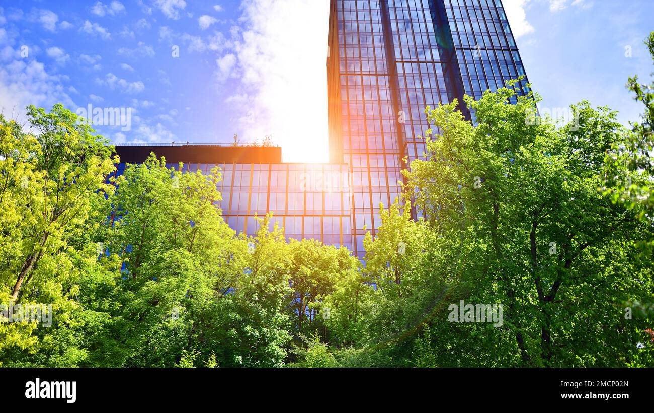 Fresh green trees and office building, business concept. Eco building ...