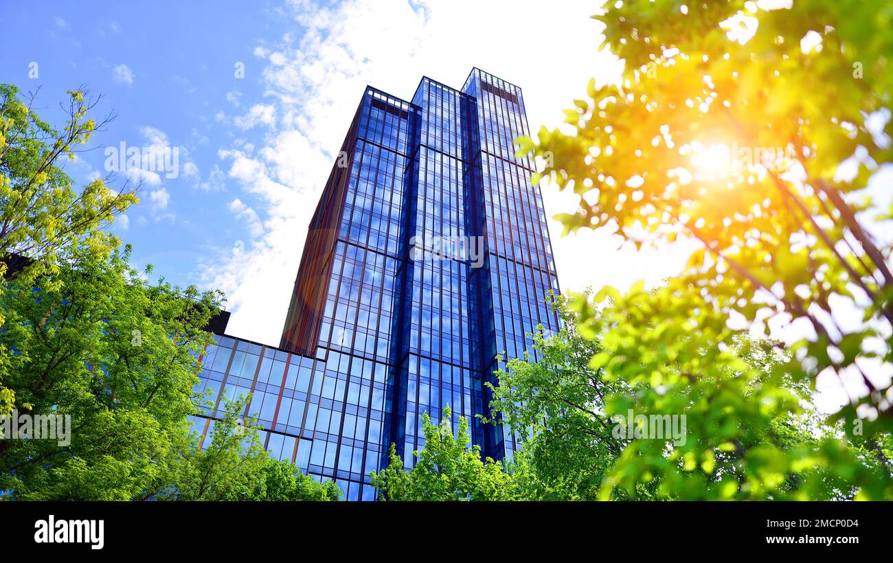 Fresh green trees and office building, business concept. Eco building ...