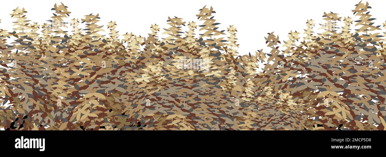 Realistic garden shrub, seasonal bush, boxwood, tree crown bush foliage ...