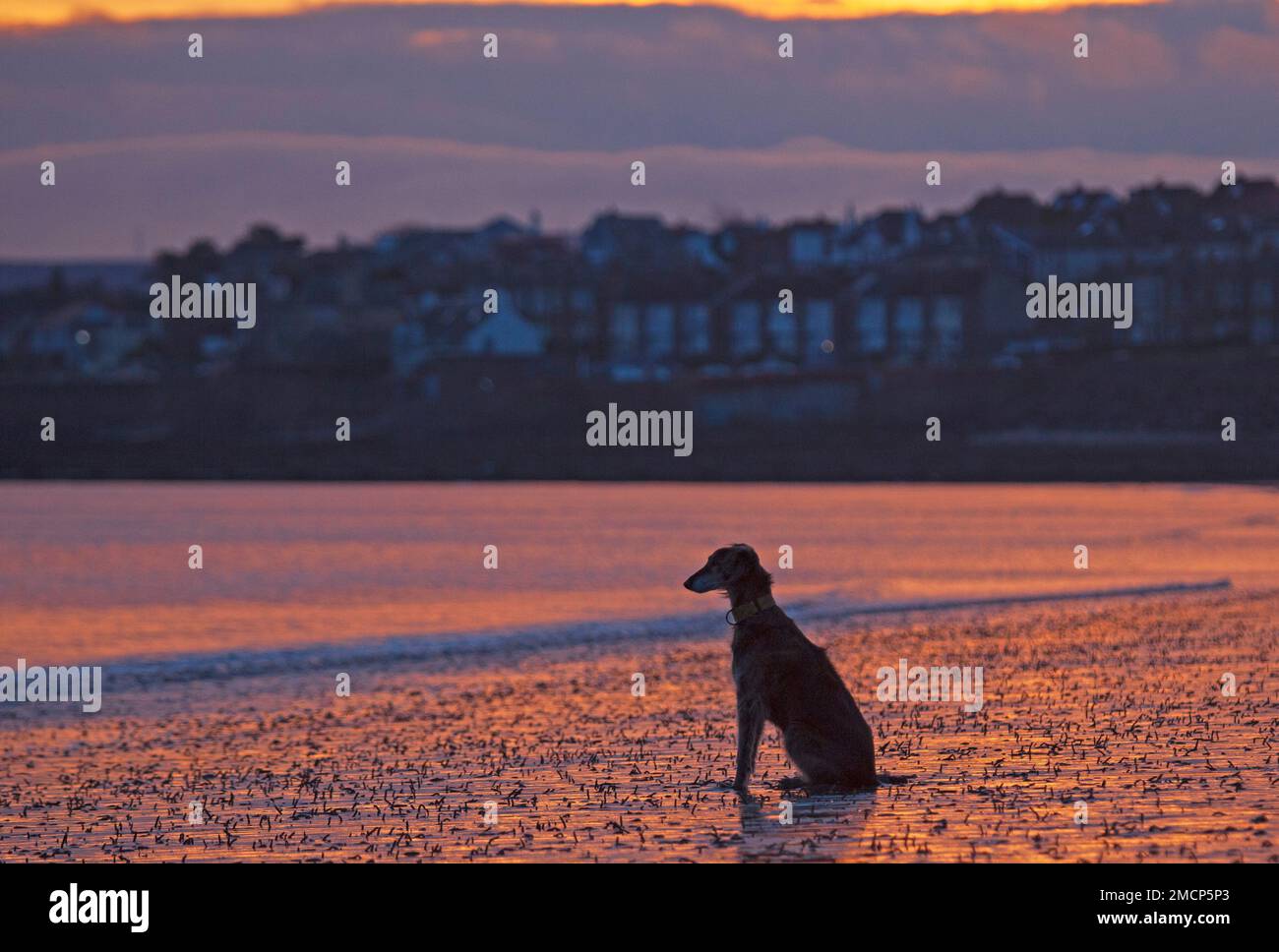 Fiery cross scotland hi-res stock photography and images - Alamy