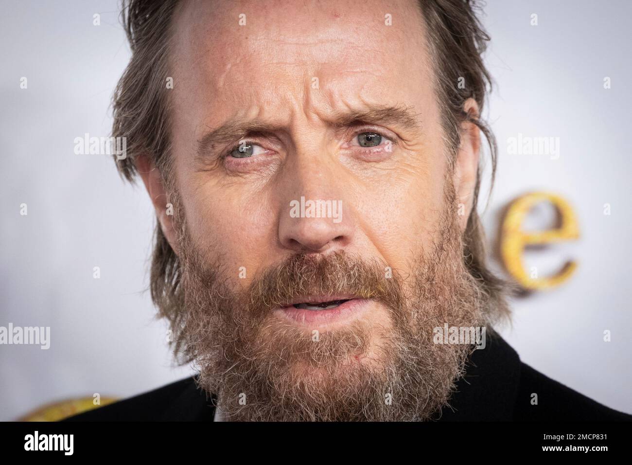 Rhys Ifans poses for photographers upon arrival at the World premiere ...