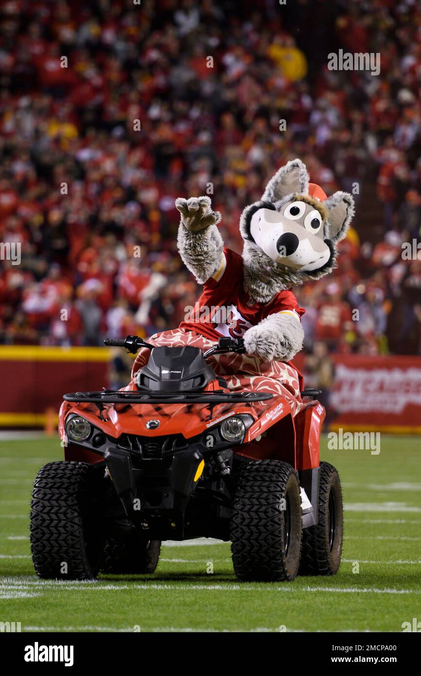 The Kansas City Chiefs mascot, KC Wolf, rides across the field before ...