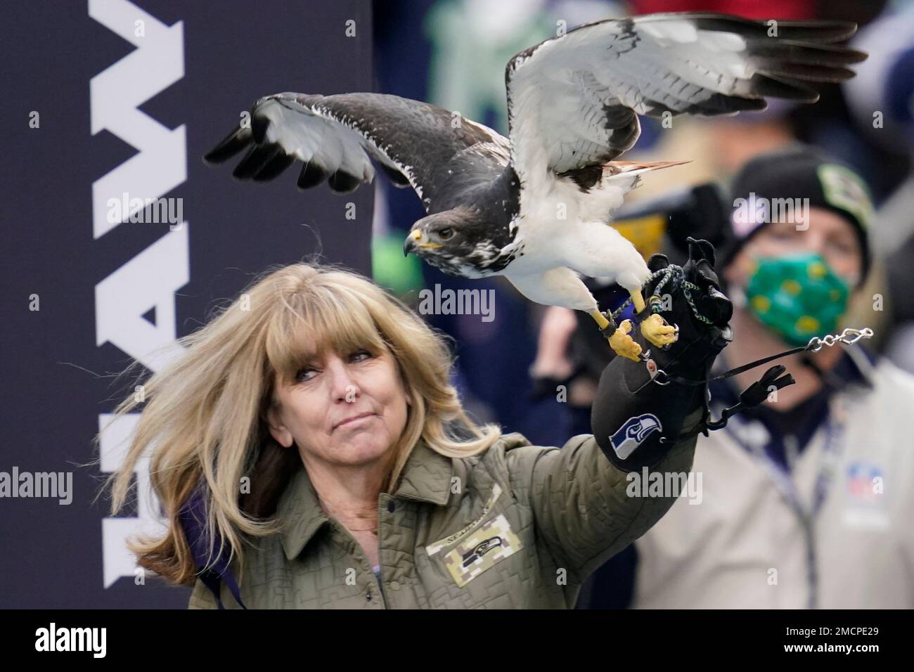 Seahawks Bird Mascot