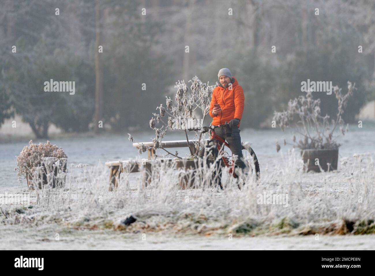 Heavy frost on the ground at the Sandringham Estate in Norfolk. A ...