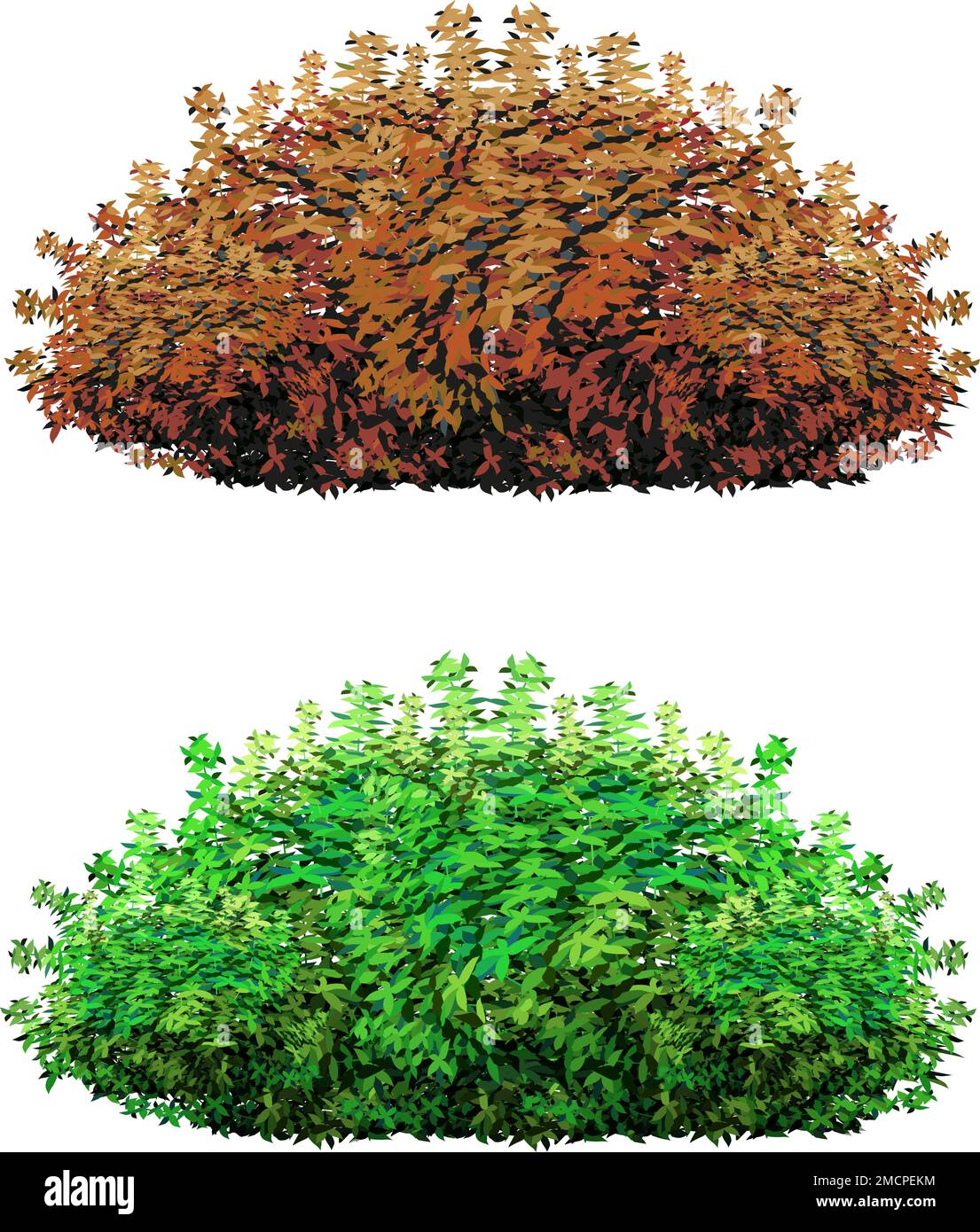Realistic garden shrub, seasonal bush, boxwood, tree crown bush foliage ...