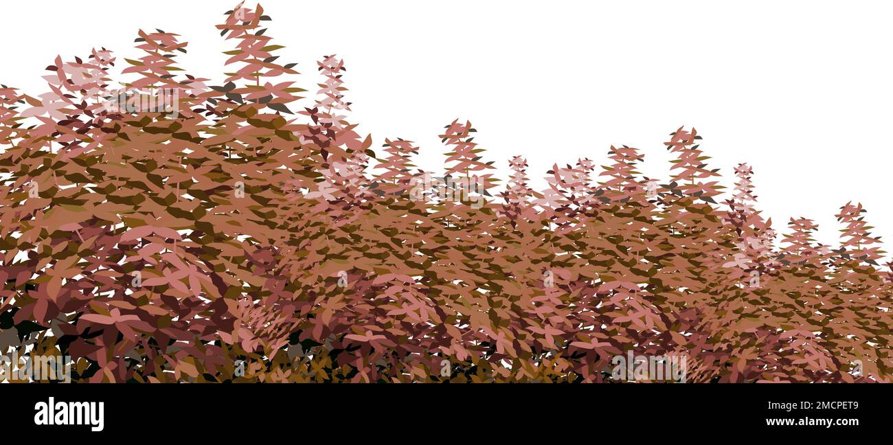 Realistic garden shrub, seasonal bush, boxwood, tree crown bush foliage ...