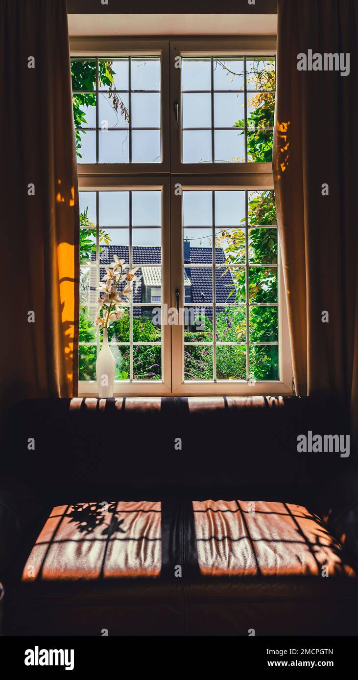 The flower looks like sun hi-res stock photography and images - Alamy