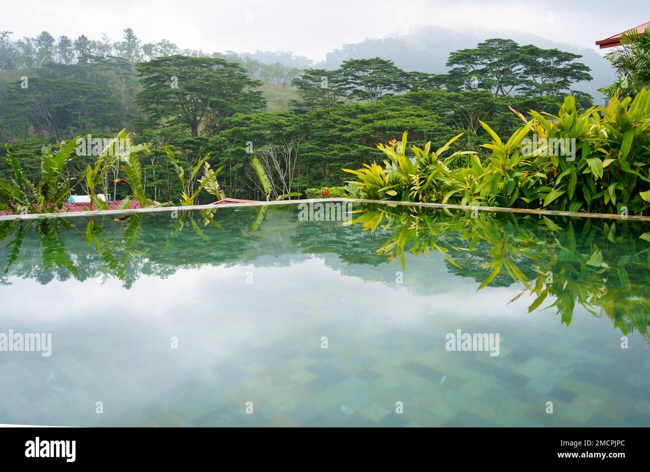 Beautiful outdoor pool with view on forest in Kandy, Sri Lank Stock ...