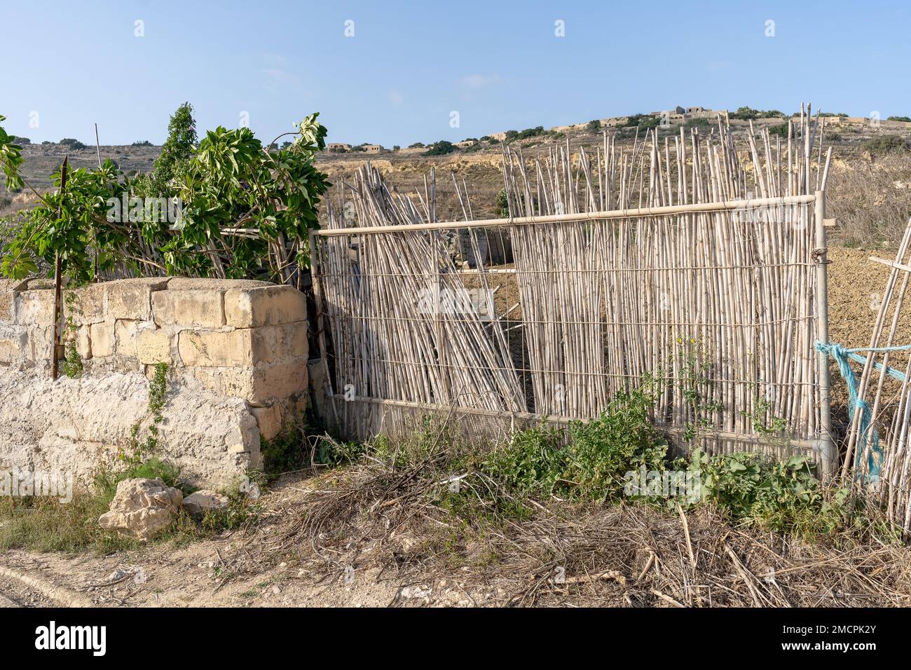 The poor fence made from straw or bamboo somewhere in Malta island ...