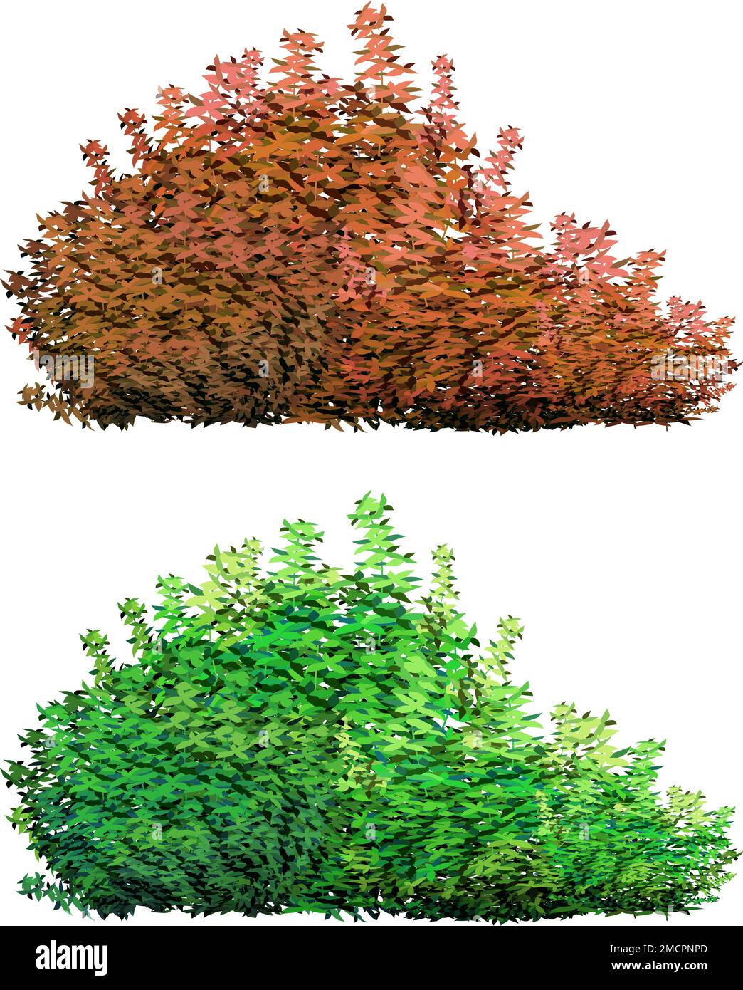 Realistic garden shrub, seasonal bush, boxwood, tree crown bush foliage ...