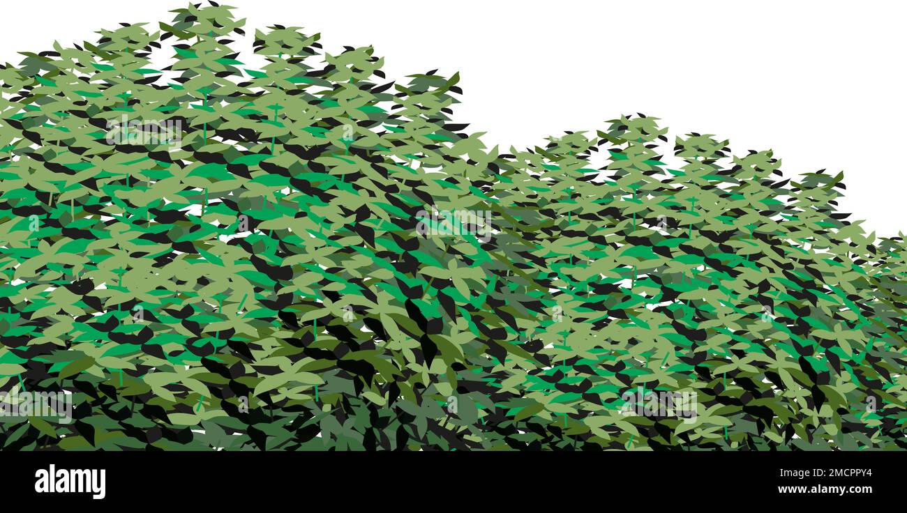 Realistic garden shrub, seasonal bush, boxwood, tree crown bush foliage ...