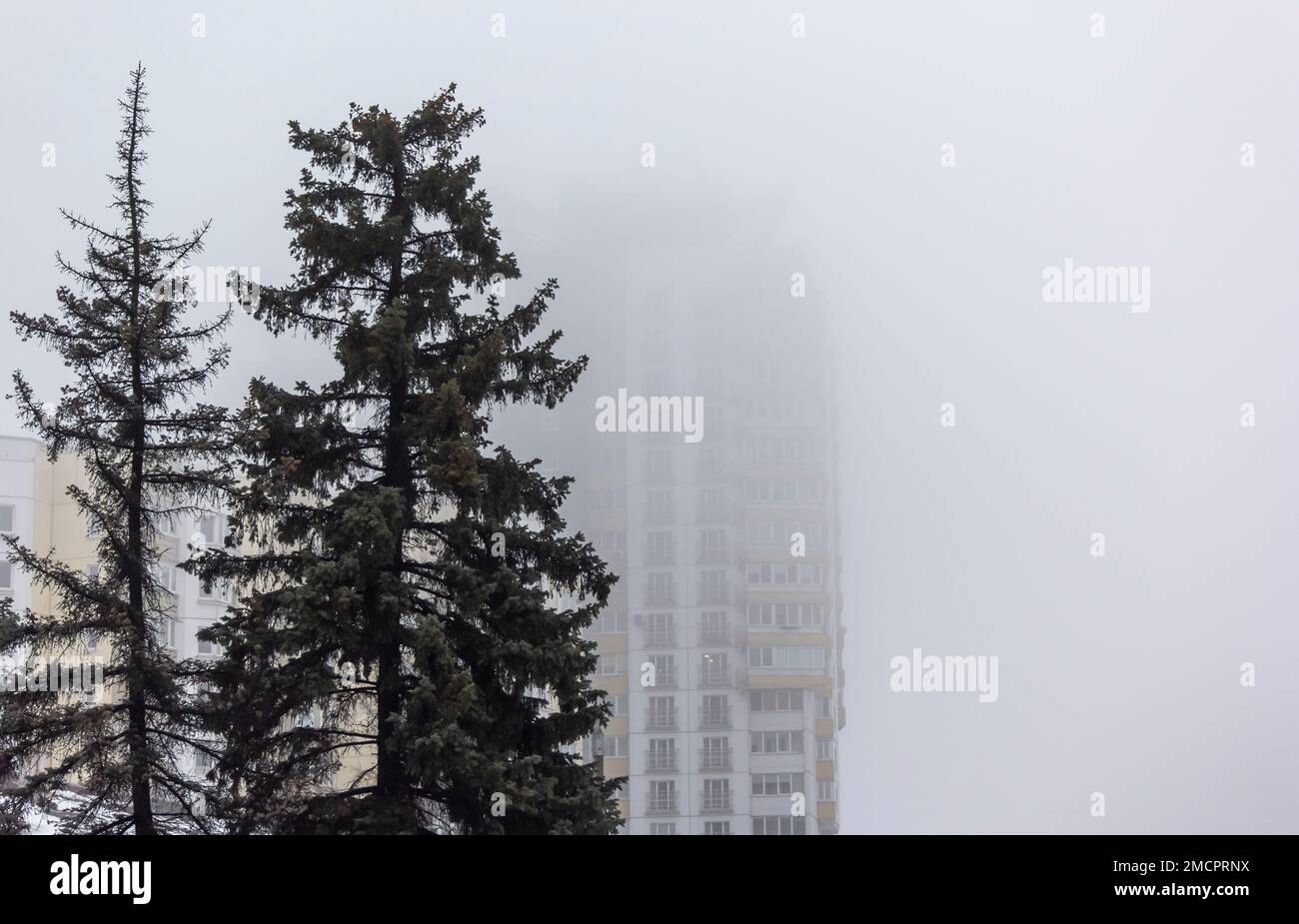 City landscape in the fog. Multi-storey building and a tree in the fog ...