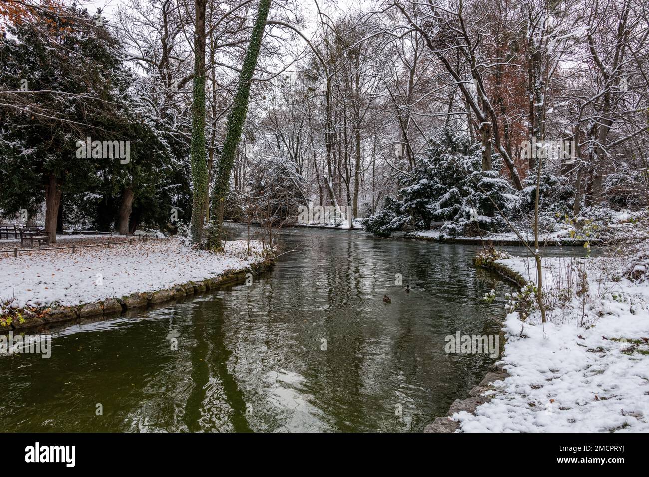 English winter garden hi-res stock photography and images - Alamy