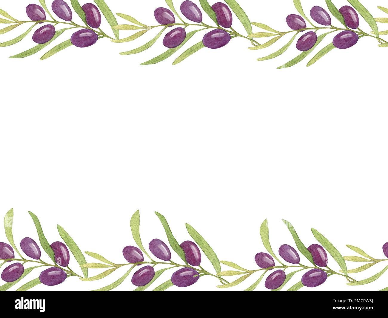 Watercolor Card with Black Olive Branches. Seamless border ...