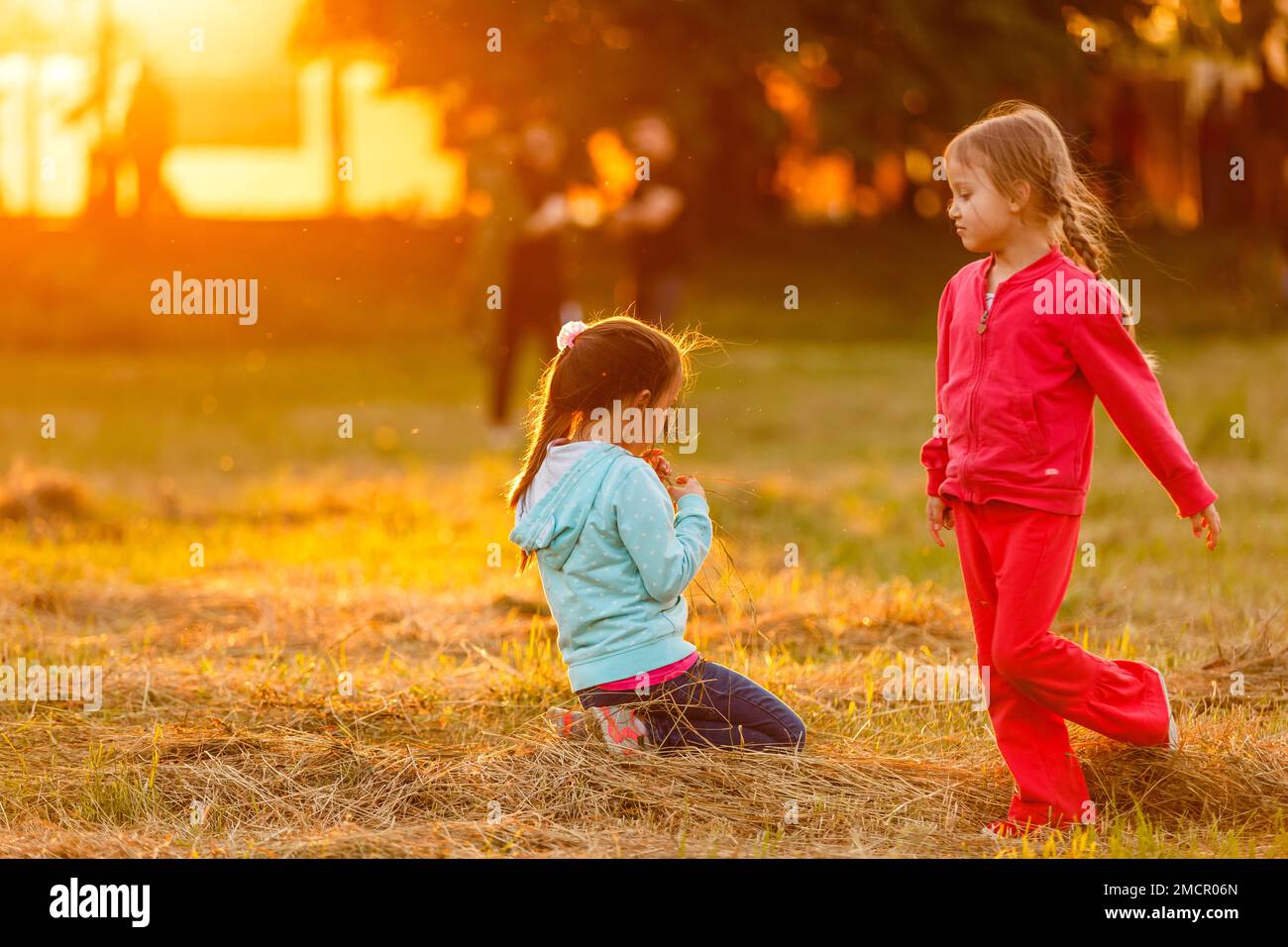 The best friends playing together Stock Photo - Alamy