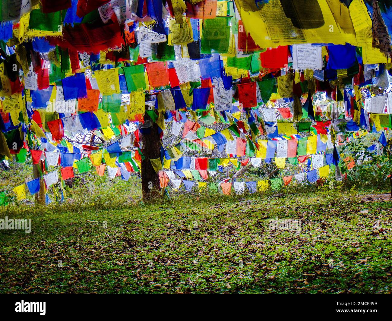 The Tibetan Prayer Flags in india Stock Photo - Alamy