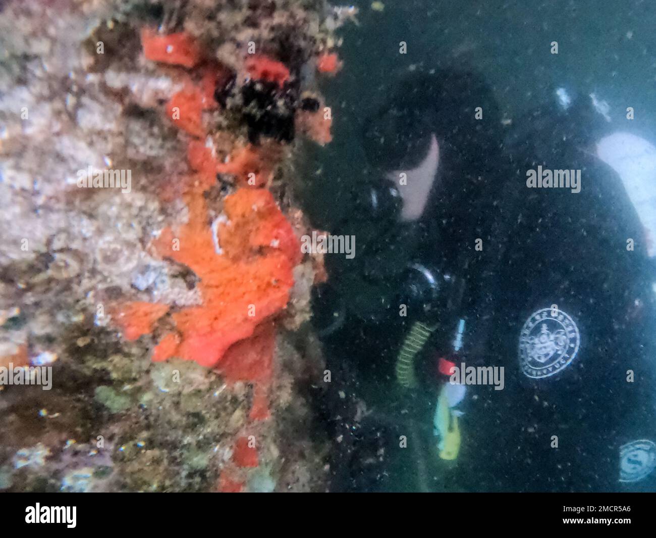 Soldiers from the 7th Engineer Dive Detachment – U.S. Army, 130th ...