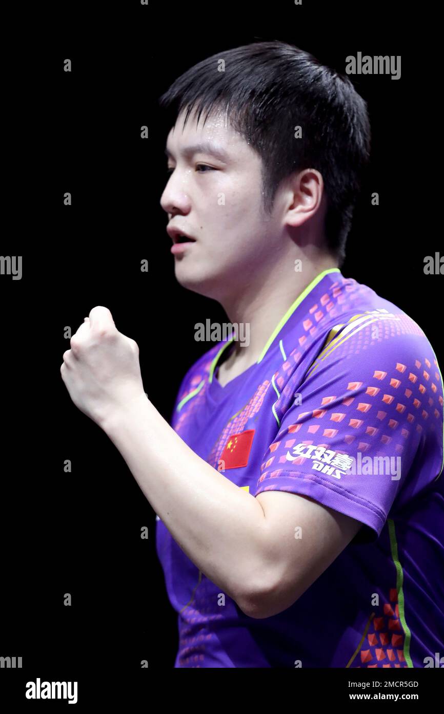 China's Fan Zhendong reacts to winning a point against Germany's ...