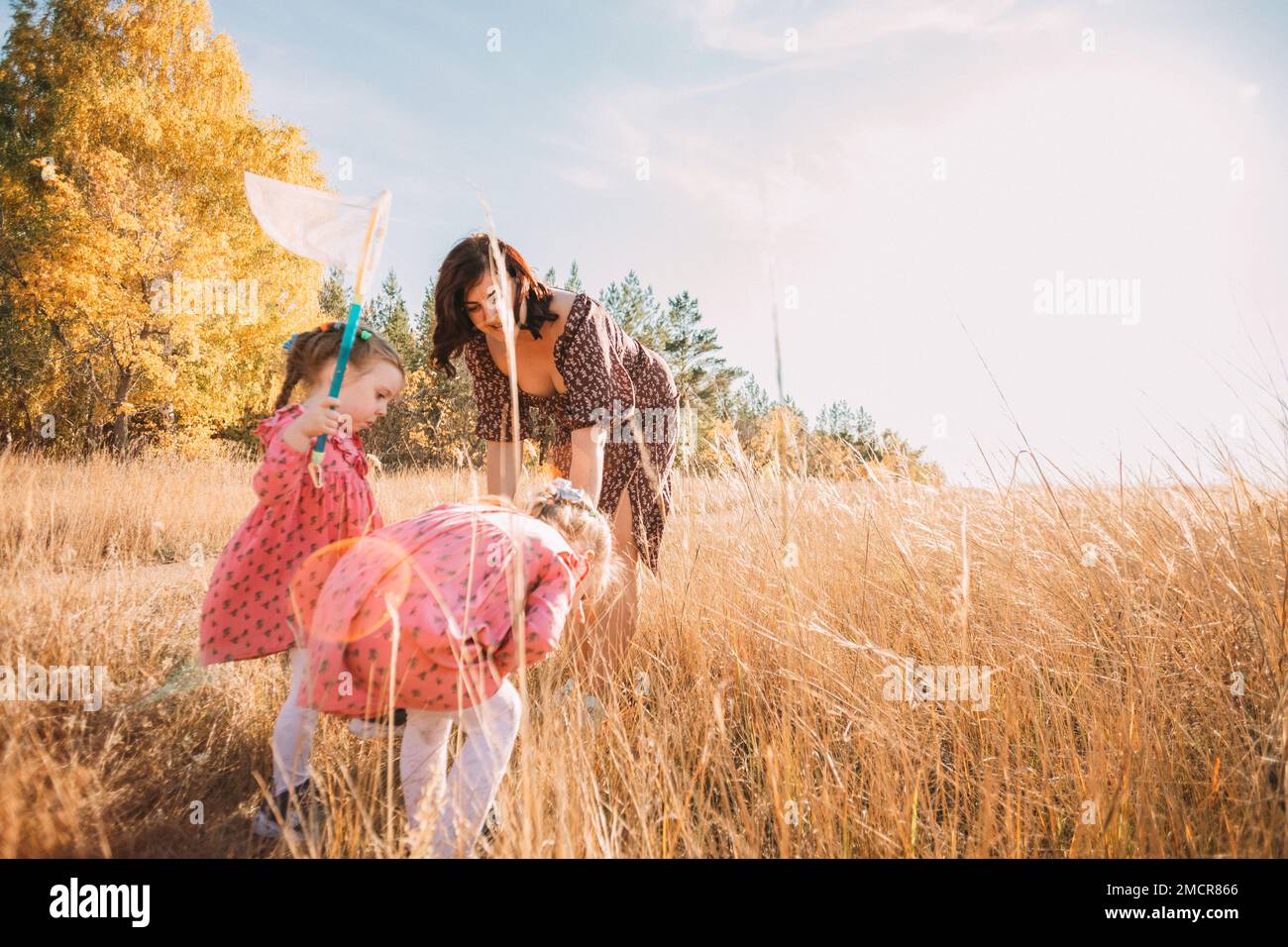 Mom and twin girls catch insects in outdoors with net and study nature ...