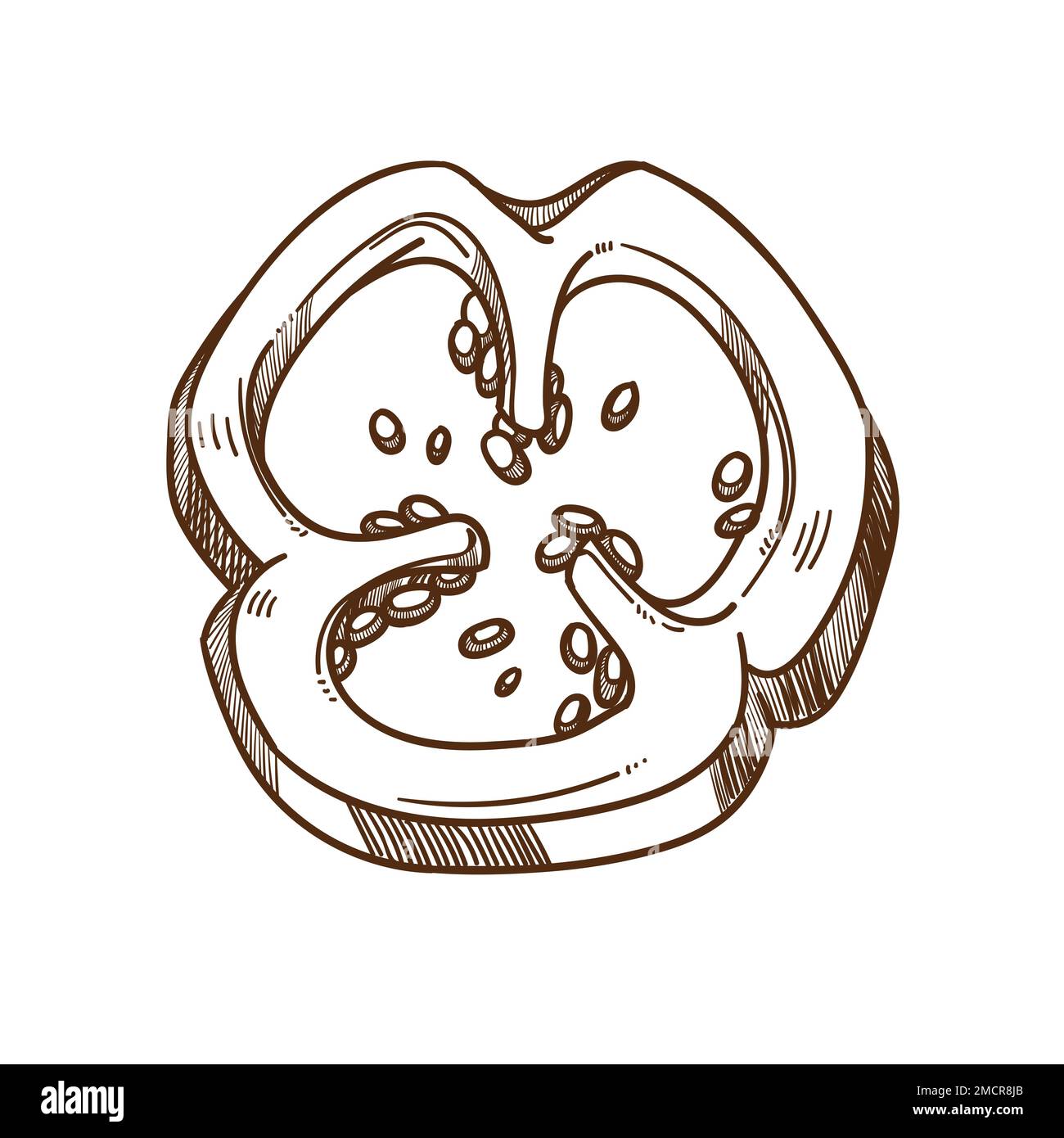 Bell pepper slice with seeds isolated sketch cooking ingredient Stock ...