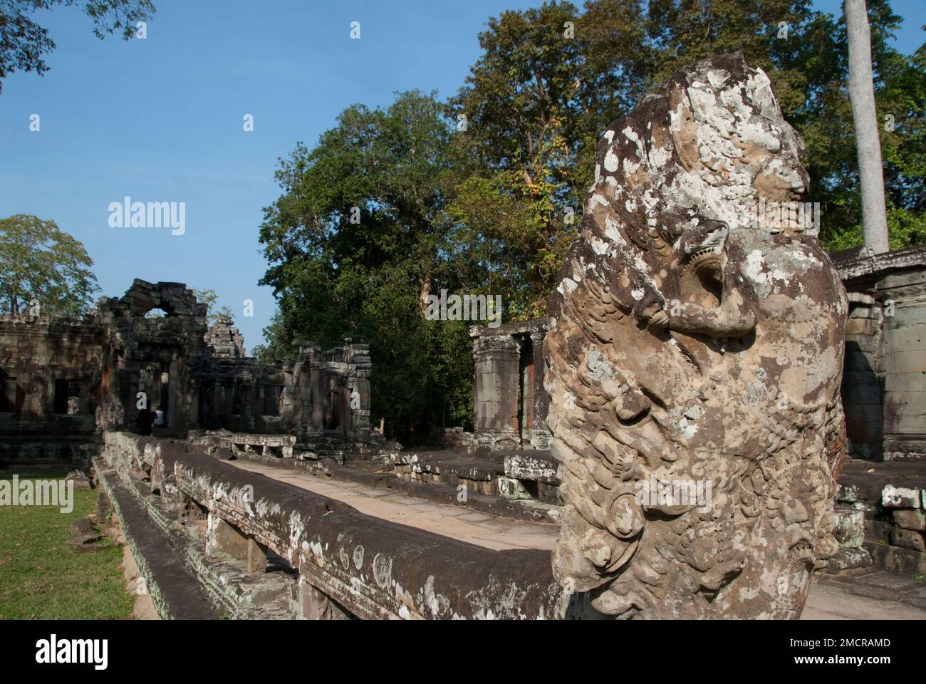 Garuda statue at end of walkway leading, Ta Prohm temple, Angkor ...