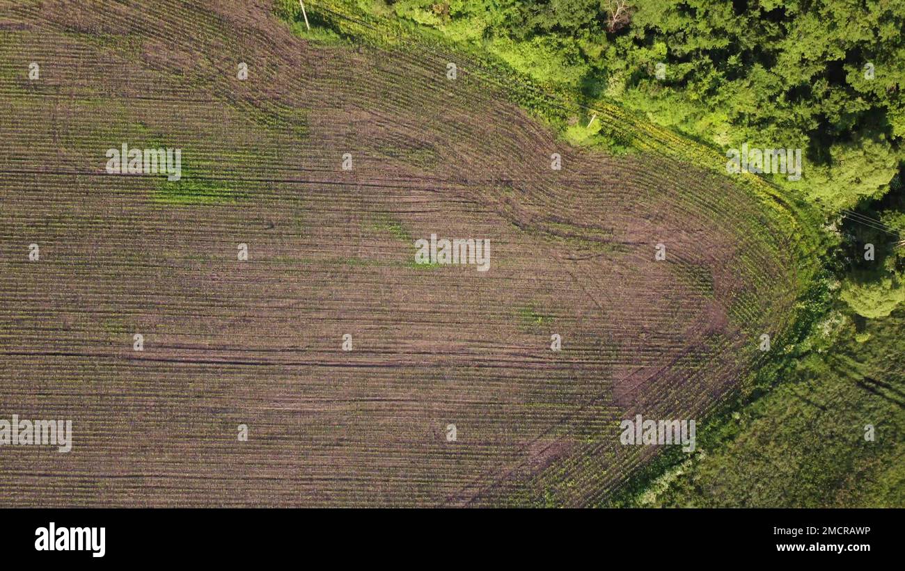 4k aerial flying through forest hi-res stock photography and images - Alamy
